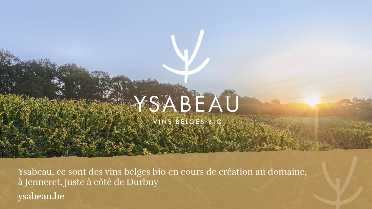 Ysabeau - Vins belges bio d'exception à Jenneret, près de Durbuy